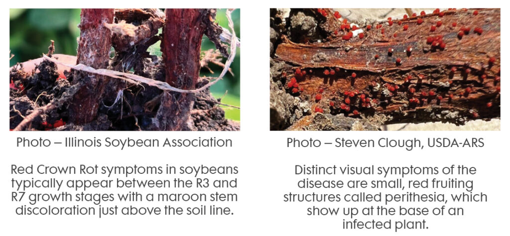 Pretium™ SDS - US Seed Treatment